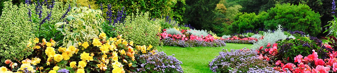 Professional Landscaping Services | Tidewater Trees & Shrubs Nursery